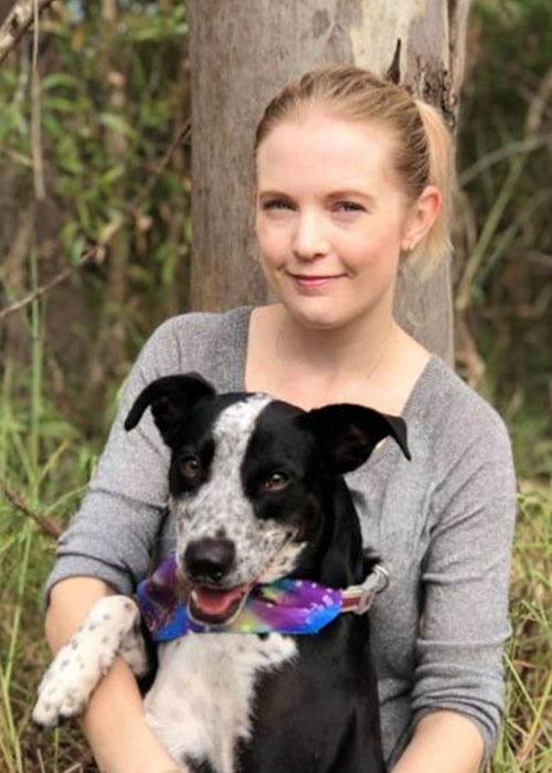 About Us - Flinders View Veterinary Surgery